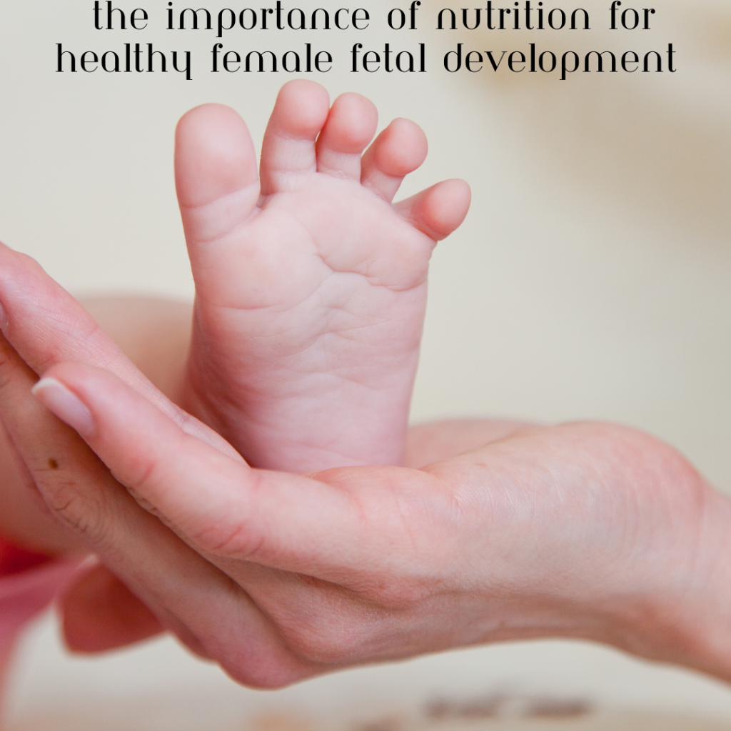 The Importance of Nutrition for Healthy Female Fetal Development - Los ...